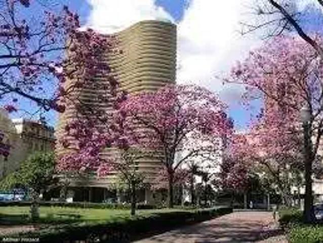 Apartamento para Venda em Belo Horizonte/MG Savassi 3 Quartos