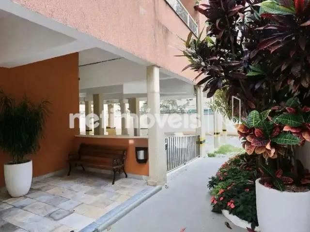 Apartamento para Venda em Belo Horizonte/MG Silveira 3 Quartos
