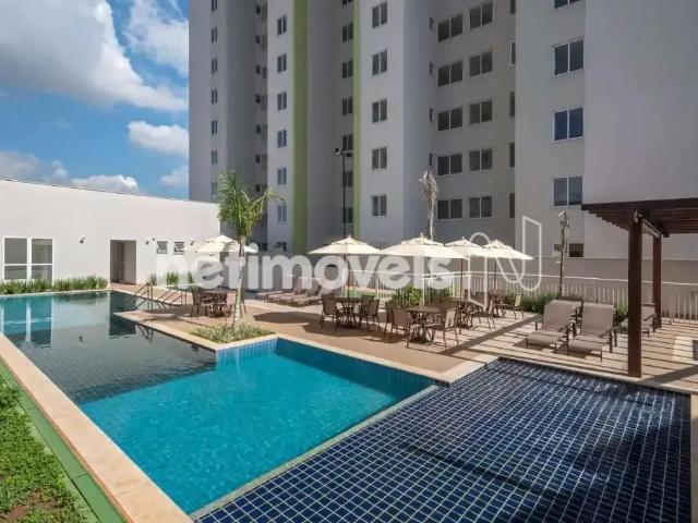 Apartamento para Venda em Belo Horizonte/MG Palmeiras 2 Quartos