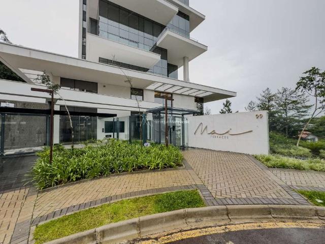 Apartamento para Venda em Curitiba/PR Campina do Siqueira 4 Quartos