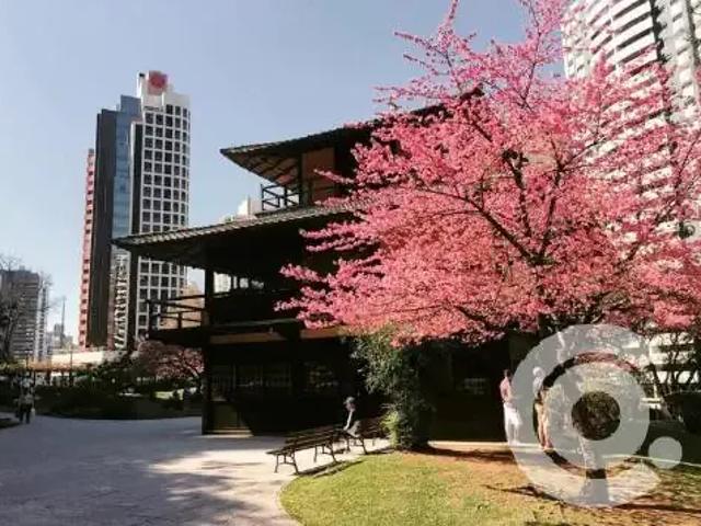 Apartamento para Venda em Curitiba/PR Batel 3 Quartos