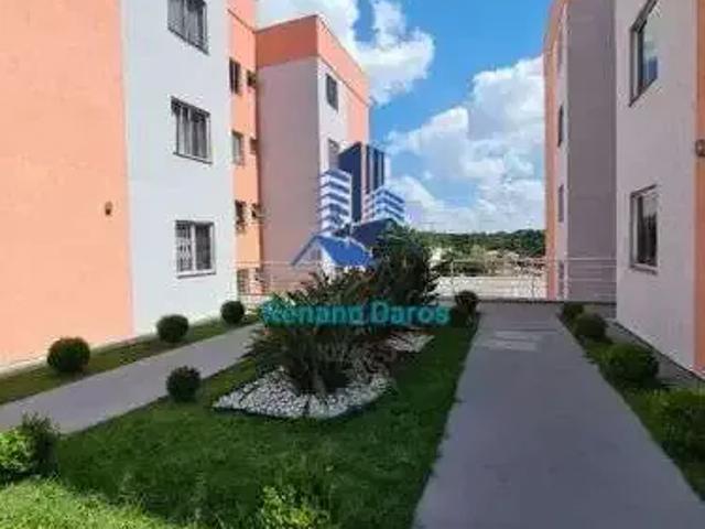 Apartamento para Venda em Curitiba/PR Pinheirinho 3 Quartos