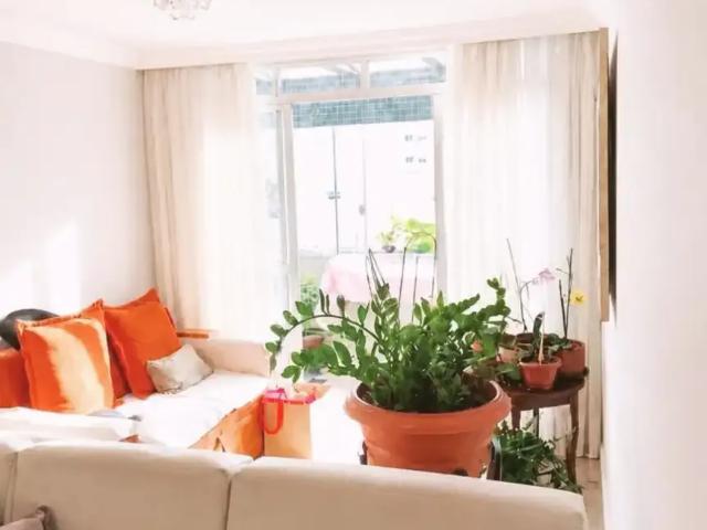 Apartamento para Venda em Curitiba/PR Vila Izabel 3 Quartos