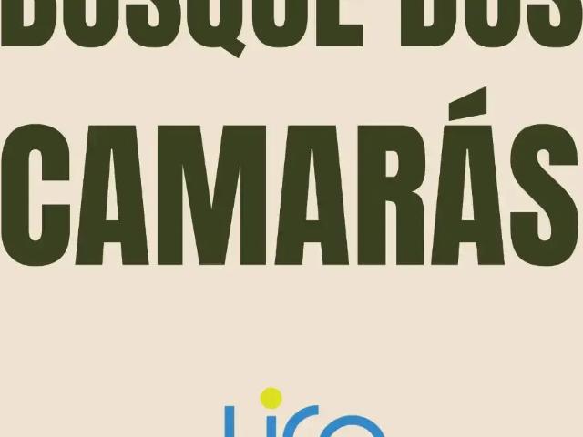 Apartamento para Venda em Camaragibe/PE Estação Nova 2 Quartos