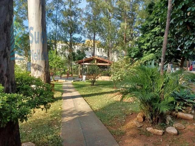 Apartamento para Venda em Campinas/SP Vila Padre Manoel de Nóbrega 2 Quartos