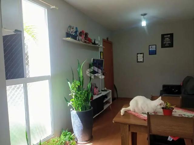 Apartamento para Venda em Canoas/RS Estância Velha 2 Quartos