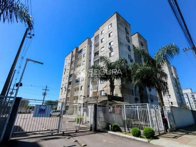 Apartamento para Venda em Canoas/RS Igara 3 Quartos