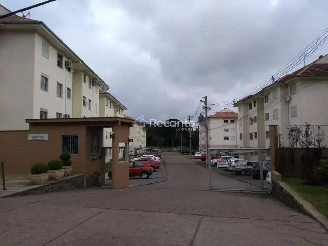 Apartamento para Venda em Canela/RS Canelinha 3 Quartos