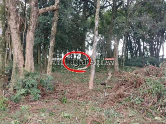 Apartamento para Venda em Caxias do Sul/RS Bela Vista