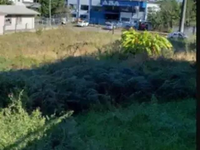 Apartamento para Venda em Caxias do Sul/RS Desvio Rizzo
