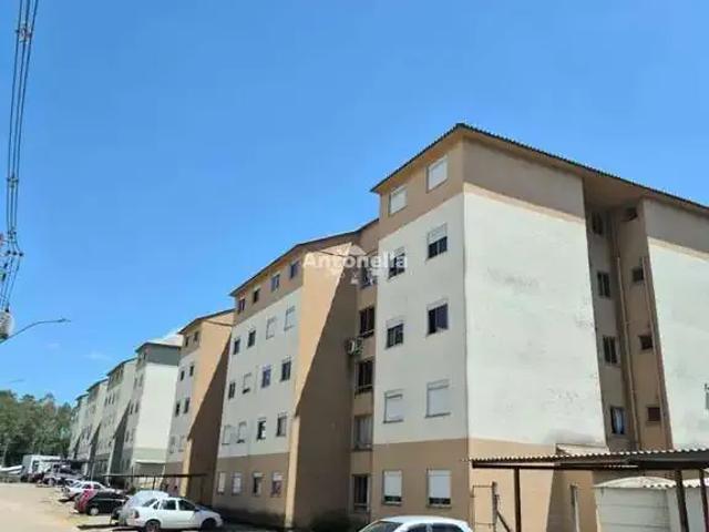 Apartamento para Venda em Caxias do Sul/RS Forqueta 2 Quartos