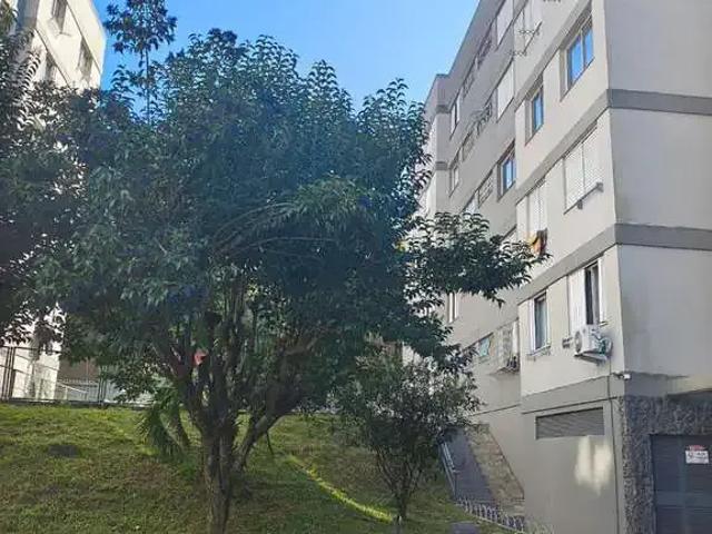 Apartamento para Venda em Caxias do Sul/RS Medianeira 3 Quartos