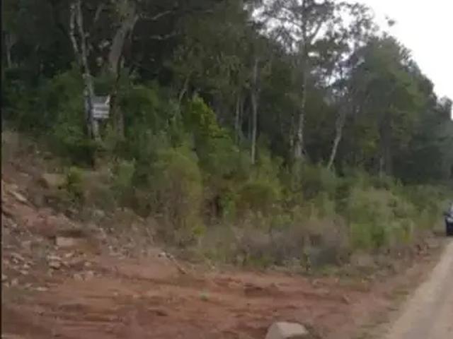 Apartamento para Venda em Caxias do Sul/RS Monte Bérico