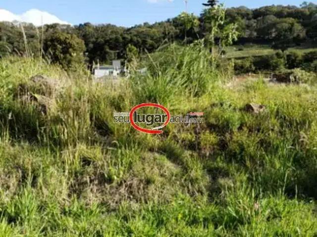Apartamento para Venda em Caxias do Sul/RS Monte Bérico
