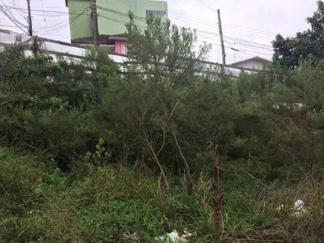 Apartamento para Venda em Caxias do Sul/RS Rio Branco