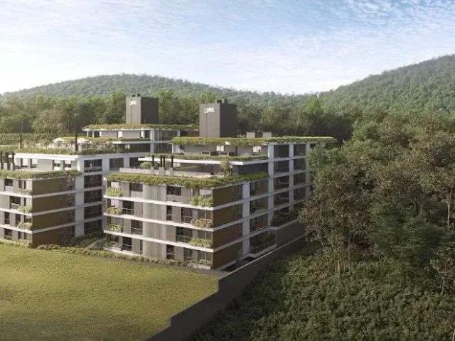 Apartamento para Venda em Florianópolis/SC Cacupé 3 Quartos