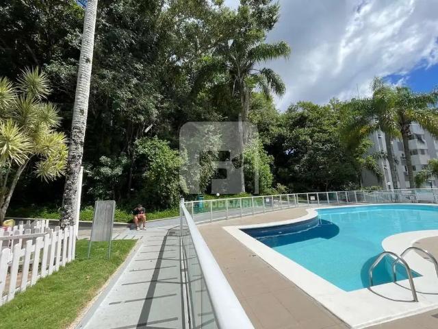 Apartamento para Venda em Florianópolis/SC Córrego Grande 3 Quartos