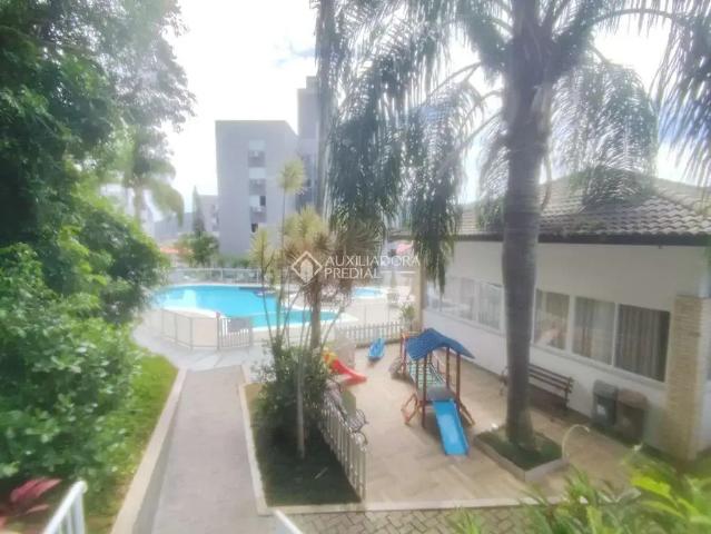 Apartamento para Venda em Florianópolis/SC Córrego Grande 3 Quartos