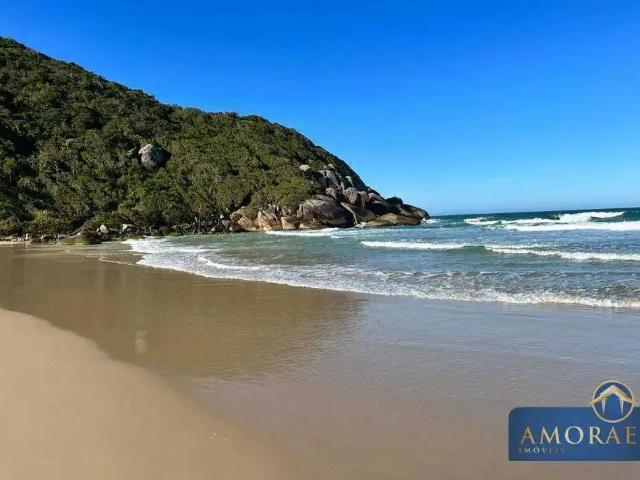 Apartamento para Venda em Florianópolis/SC Praia Brava 3 Quartos
