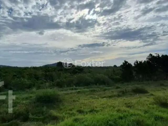 Apartamento para Venda em Florianópolis/SC Ribeirão da Ilha 2 Quartos