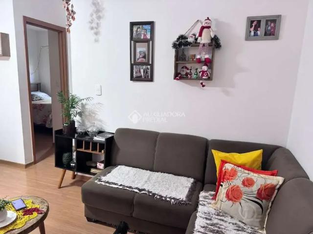 Apartamento para Venda em Gravataí/RS Jansen 2 Quartos