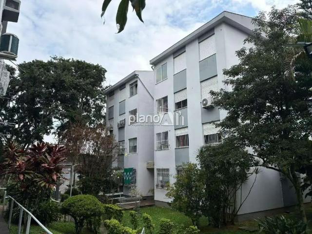 Apartamento para Venda em Gravataí/RS Salgado Filho 1 Quartos