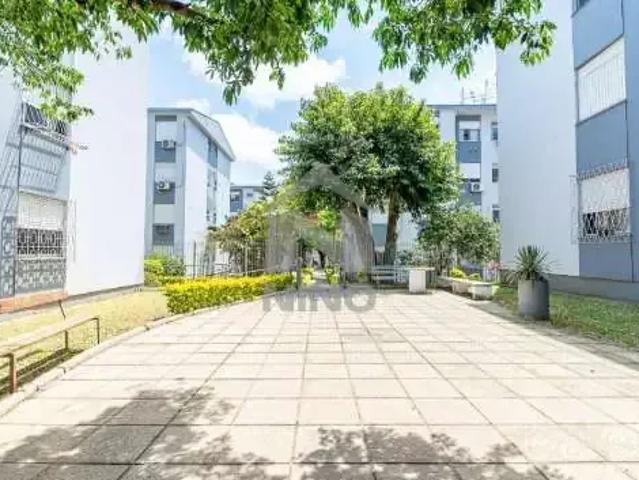 Apartamento para Venda em Gravataí/RS Salgado Filho 1 Quartos