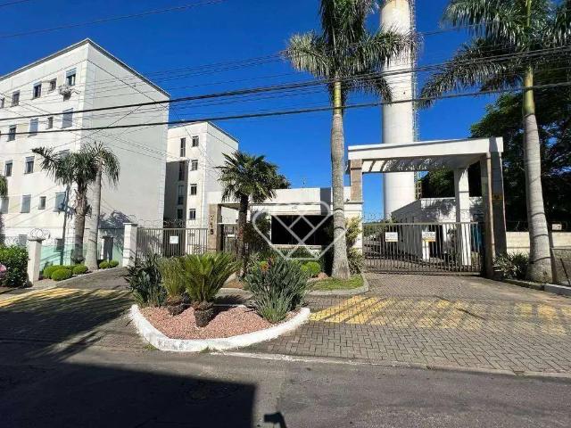 Apartamento para Venda em Gravataí/RS Passo das Pedras 2 Quartos