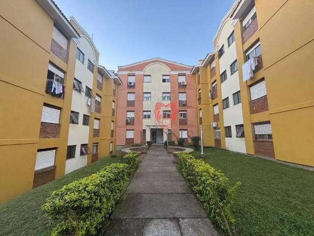 Apartamento para Venda em Gravataí/RS Passo das Pedras 3 Quartos