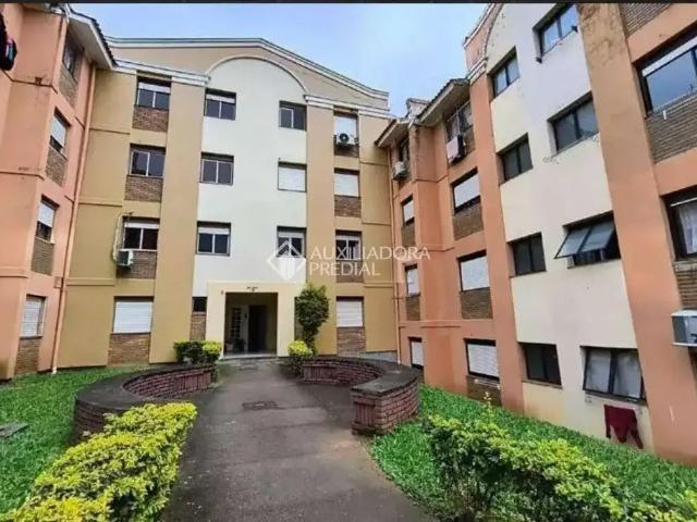 Apartamento para Venda em Gravataí/RS Passo das Pedras 3 Quartos