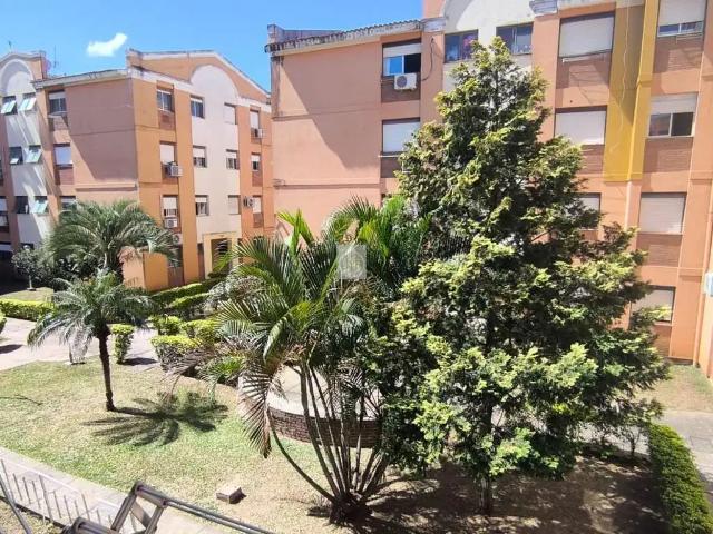 Apartamento para Venda em Gravataí/RS Passo das Pedras 3 Quartos