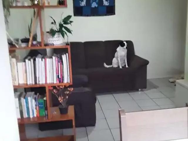 Apartamento para Venda em Ibiúna/SP Centro 2 Quartos