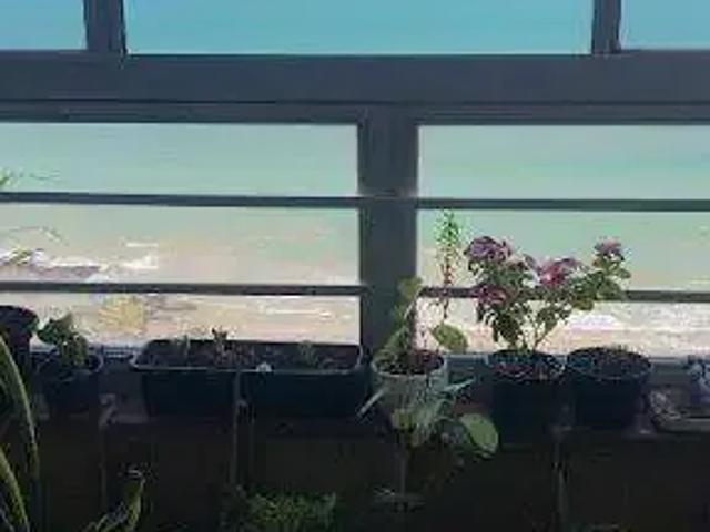 Apartamento para Venda em Jaboatão dos Guararapes/PE Piedade 4 Quartos
