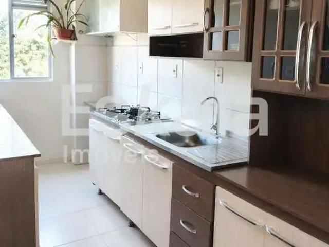 Apartamento para Venda em Jaraguá do Sul/SC Santa Luzia 2 Quartos
