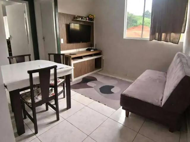 Apartamento para Venda em Jaraguá do Sul/SC Ribeirão Cavalo 2 Quartos