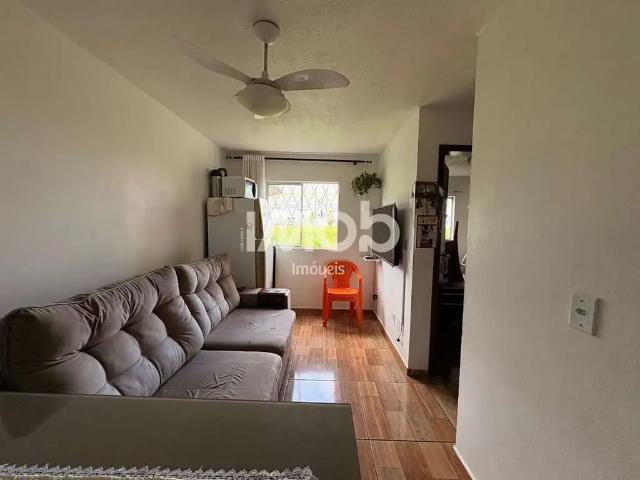 Apartamento para Venda em Jaraguá do Sul/SC Ribeirão Cavalo 2 Quartos