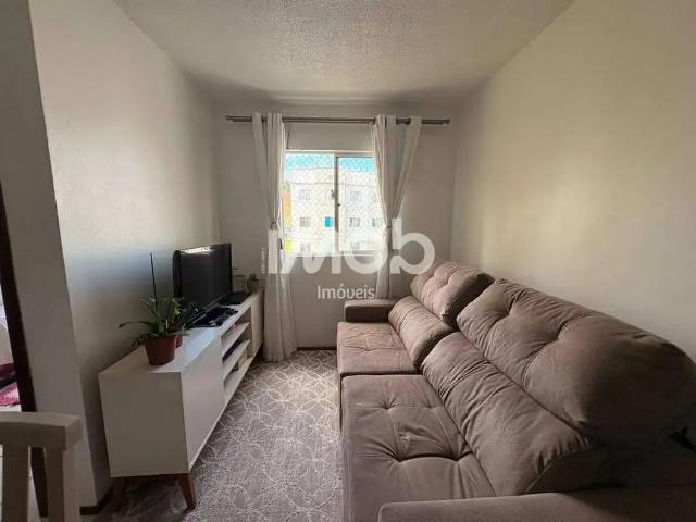 Apartamento para Venda em Jaraguá do Sul/SC Ribeirão Cavalo 2 Quartos