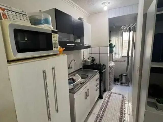 Apartamento para Venda em Jaraguá do Sul/SC Ribeirão Cavalo 2 Quartos