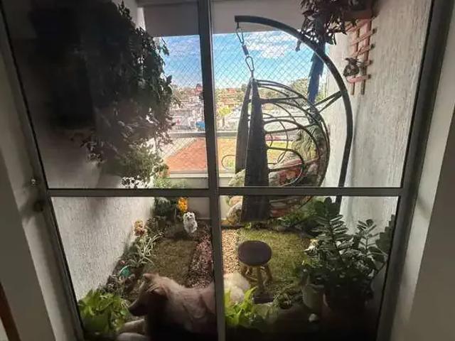 Apartamento para Venda em Lagoa Santa/MG Brant 1 Quartos