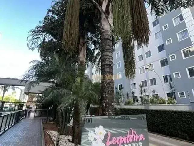 Apartamento para Venda em Londrina/PR Gleba Fazenda Palhano 2 Quartos