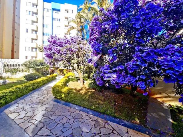 Apartamento para Venda em Londrina/PR Champagnat 3 Quartos