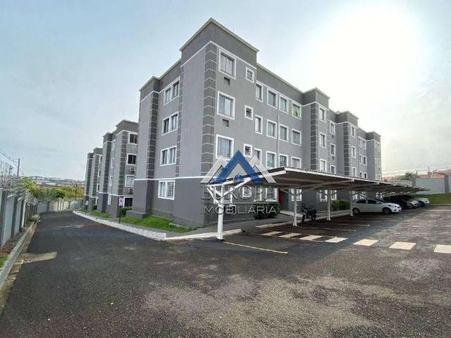 Apartamento para Venda em Londrina/PR Paraíso 2 Quartos