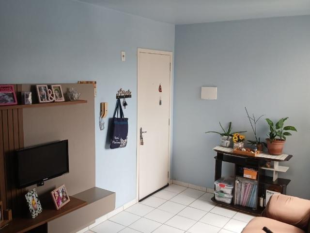 Apartamento para Venda em Palhoça/SC Guarda do Cubatão 2 Quartos