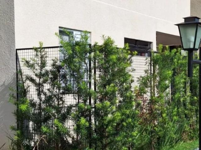 Apartamento para venda em Parque São Luís em Taubaté São Paulo de 55.00m² com 2 Quartos e 1 Garagem