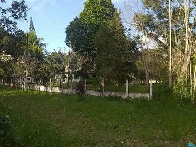 Apartamento para Venda em Paudalho/PE Vila Chã de Cruz 5 Quartos