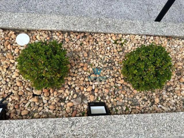 Apartamento para Venda em Poços de Caldas/MG Centro 2 Quartos