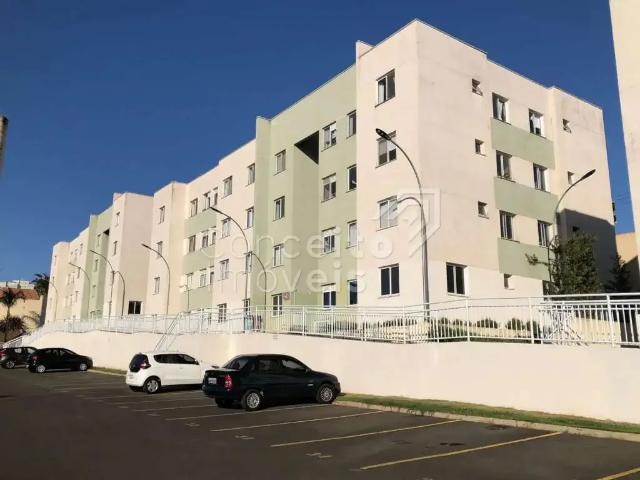 Apartamento para Venda em Ponta Grossa/PR Estrela 2 Quartos