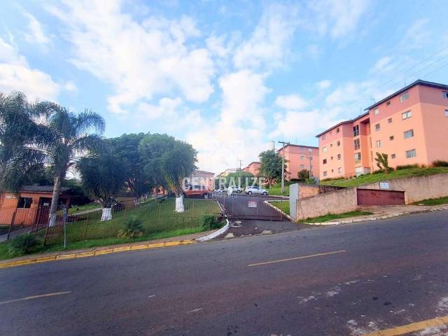 Apartamento para Venda em Ponta Grossa/PR Estrela 2 Quartos