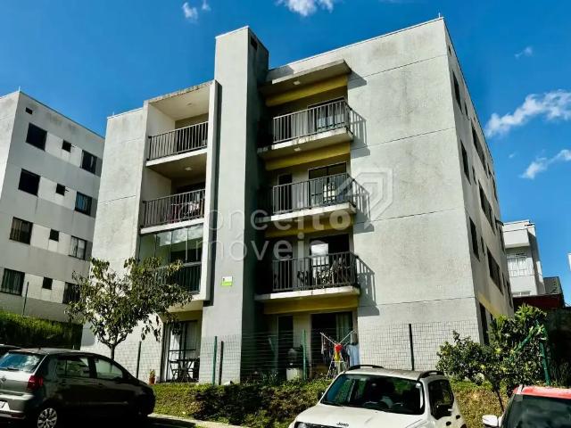 Apartamento para Venda em Ponta Grossa/PR Jardim Carvalho 2 Quartos