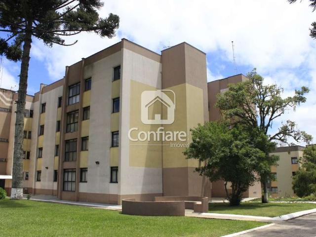 Apartamento para Venda em Ponta Grossa/PR Jardim Carvalho 3 Quartos